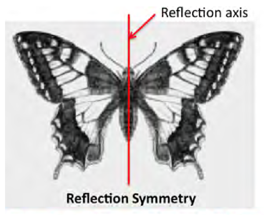 Examples of symmetry on images